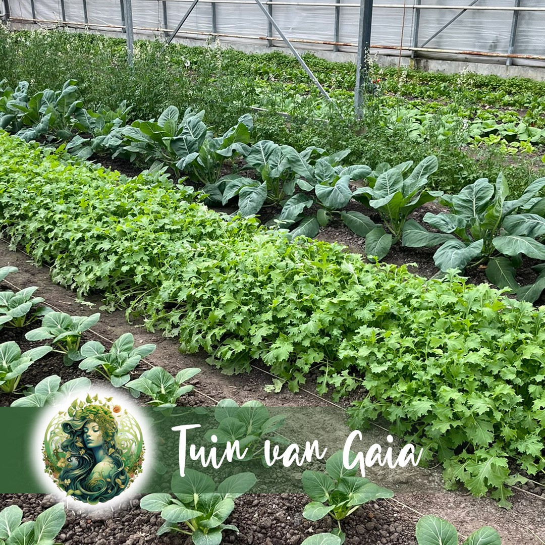Tuin van Gaia – Laten we samen groene dingen doen!
