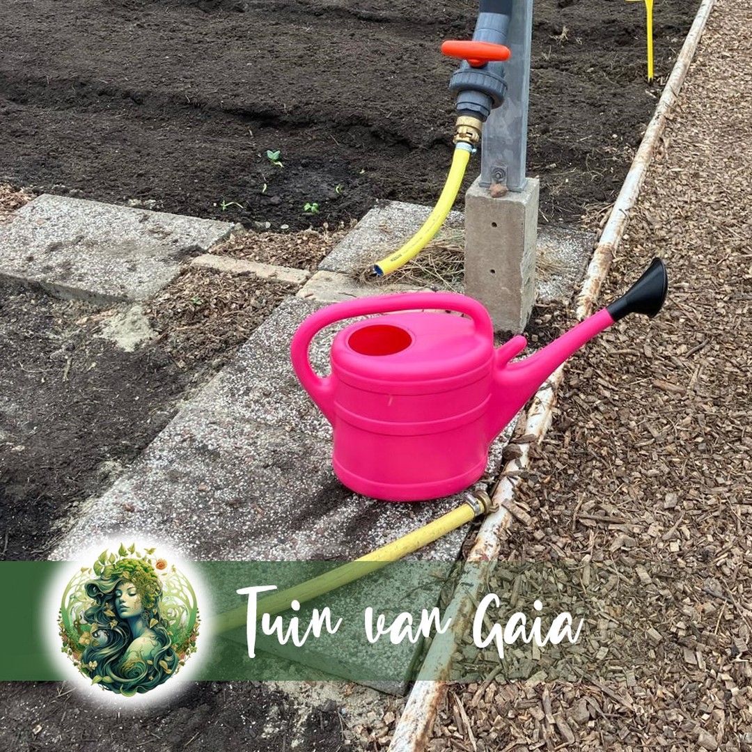 Tuin van Gaia – Laten we samen groene dingen doen!